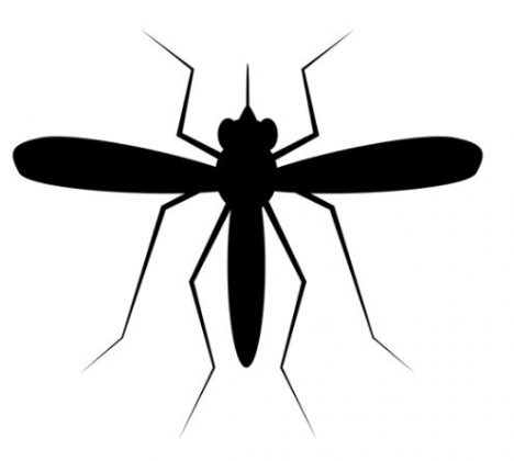 Pest Control Business Name Ideas - Rocket Business Builder
